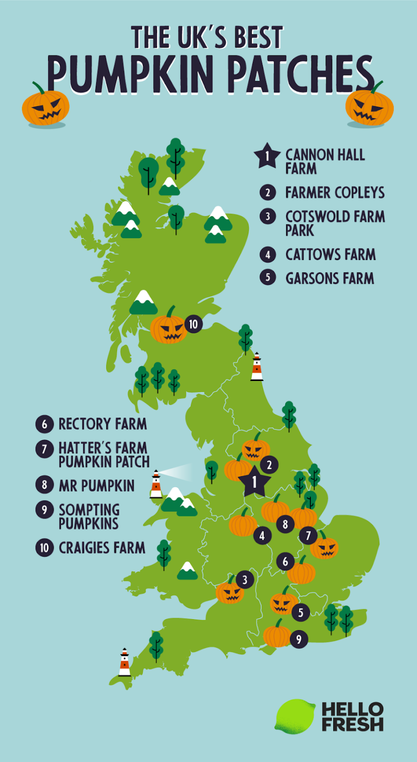 Meal delivery box firm reveals top pumpkin picks - Marketing Derby